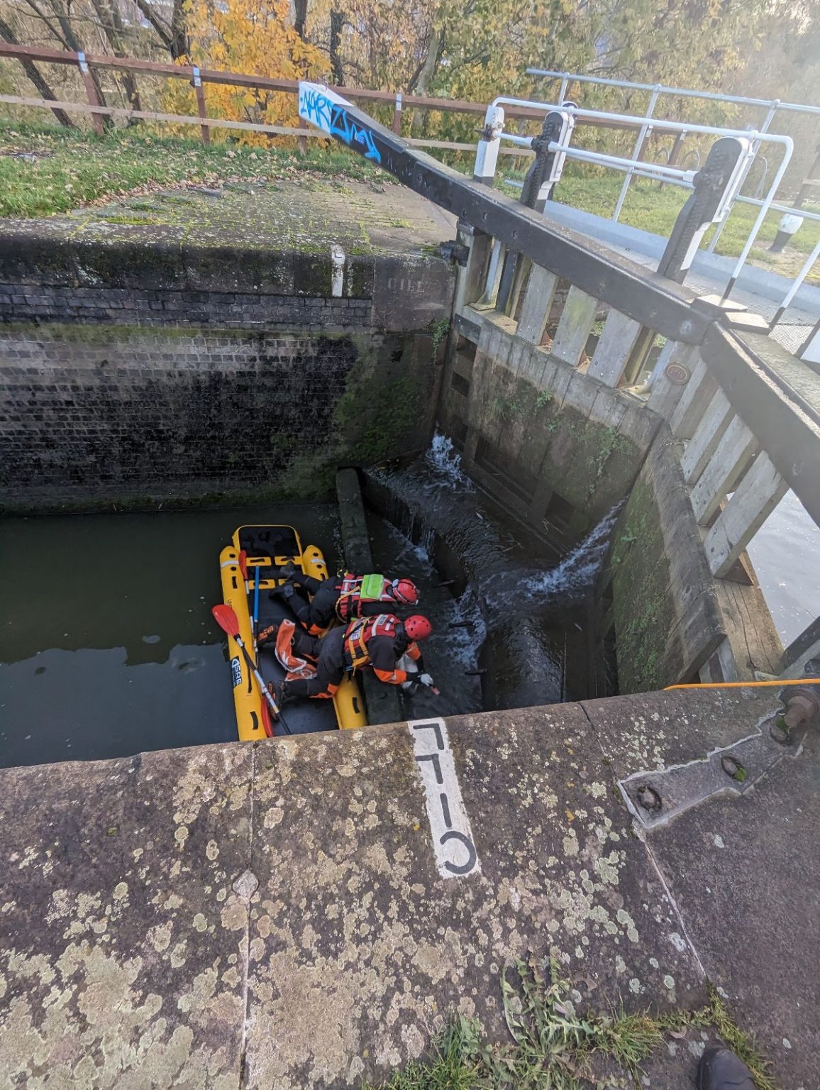 Swan Has ‘Lock-y Escape’ After Being Rescued From Leicester Canal ...