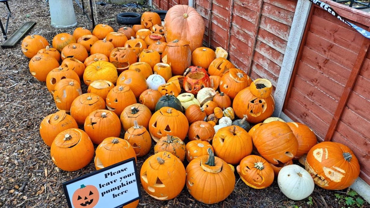 Have a smashing time at Leicester pumpkin composting event - Leicester ...