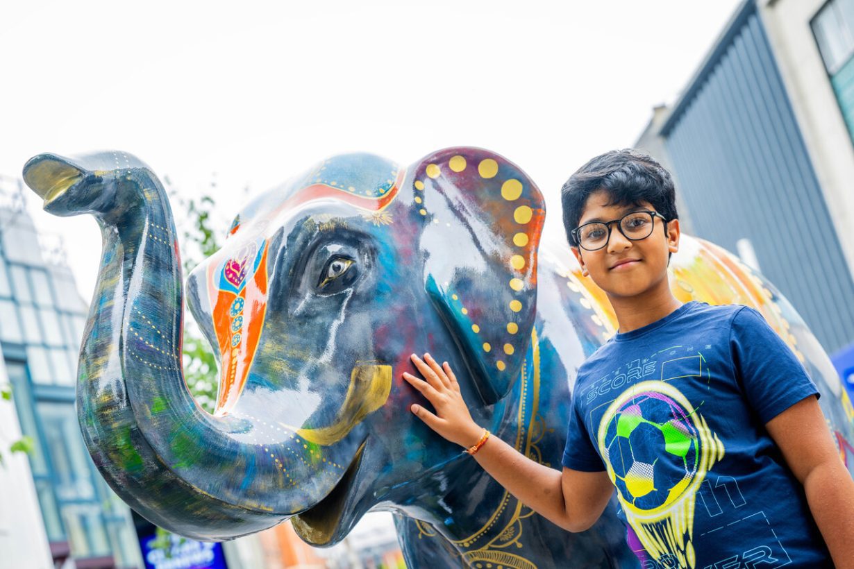 Stomp Round Leicester Elephants Gather for Farewell Event and Charity ...