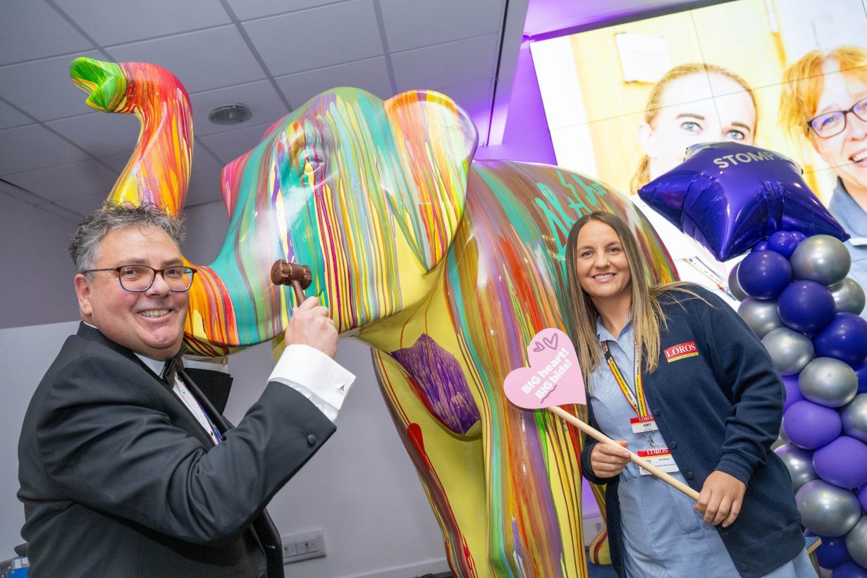 Auctioned elephants raise mammoth total for LOROS Hospice - Leicester Times